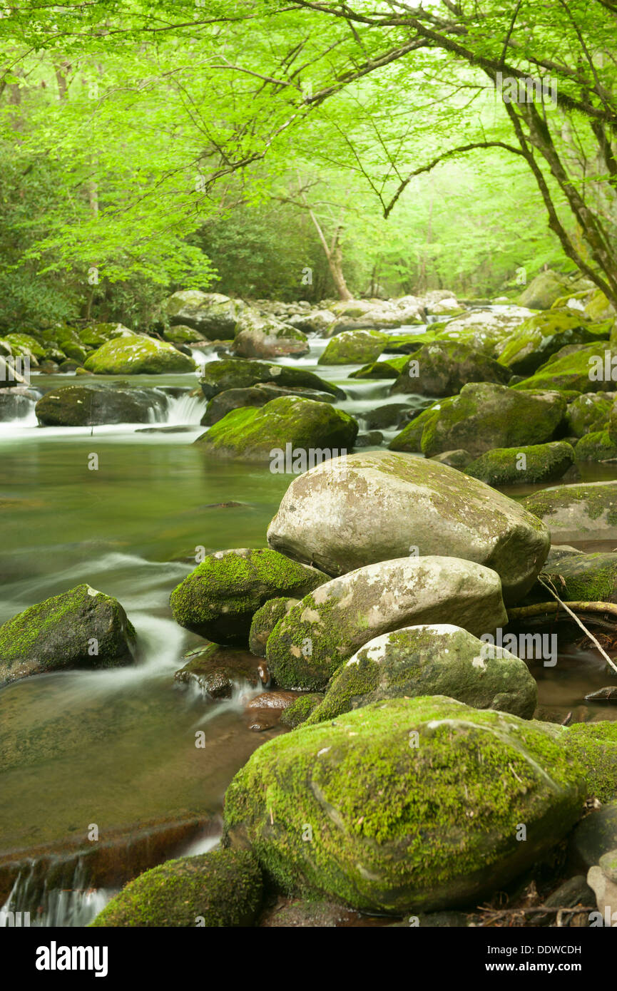 Mountain stream fast clear blue hi-res stock photography and images - Alamy