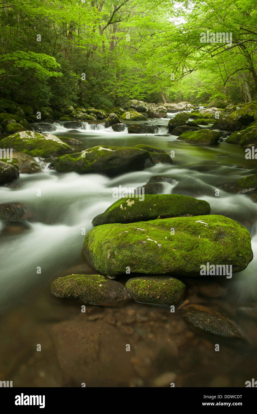 Swiftly Flowing River High Resolution Stock Photography and Images - Alamy