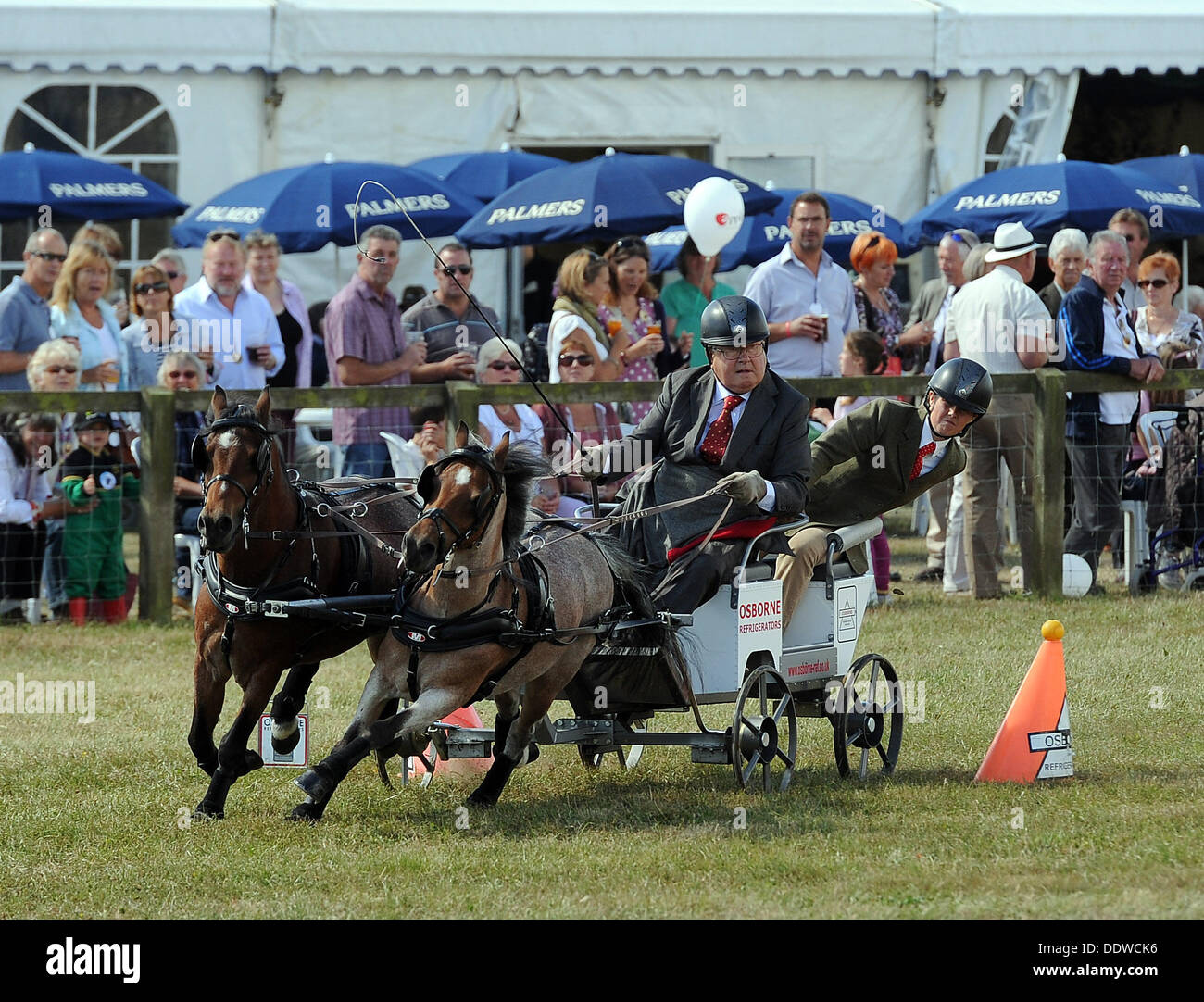 Scurry High Resolution Stock Photography and Images - Alamy