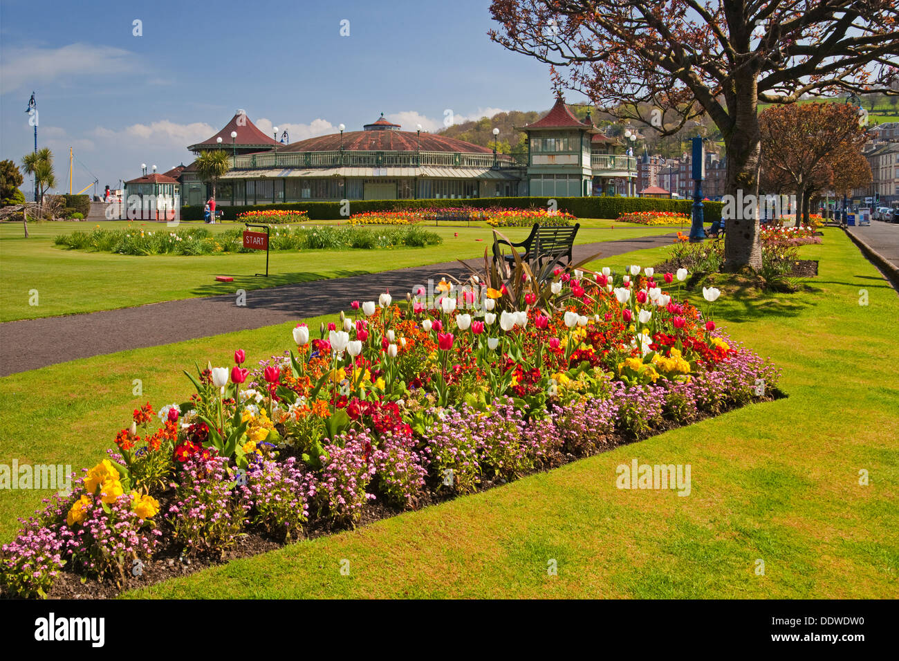 Rothesay putting green hi-res stock photography and images - Alamy
