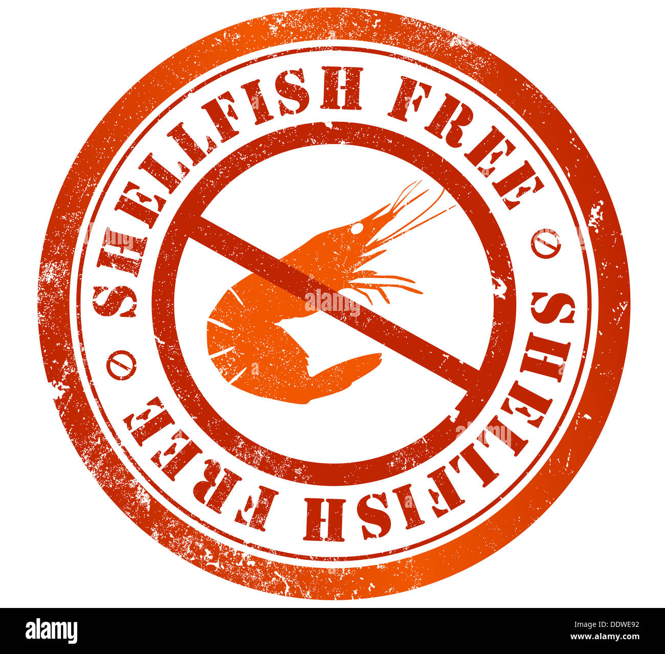 Free squid hi-res stock photography and images - Alamy