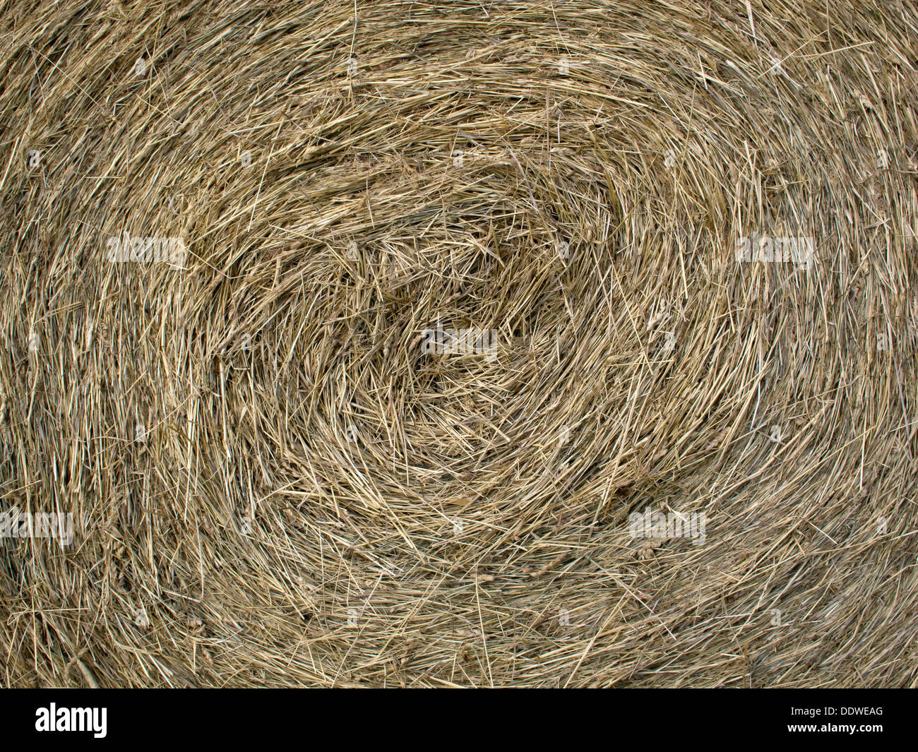 Hay bale texture hi-res stock photography and images - Alamy