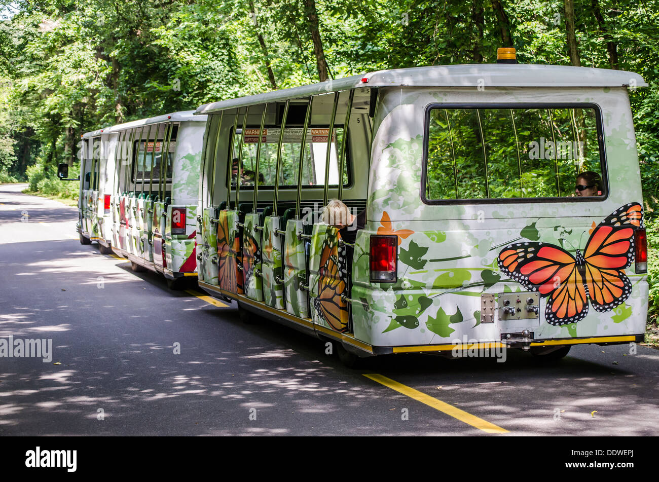 Point Pelee Tour Bus Stock Photo - Alamy