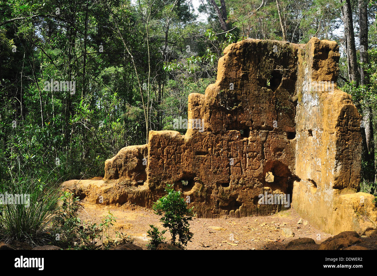 Parque Arvi - Santa Elena .Department of Antioquia. COLOMBIA Stock ...