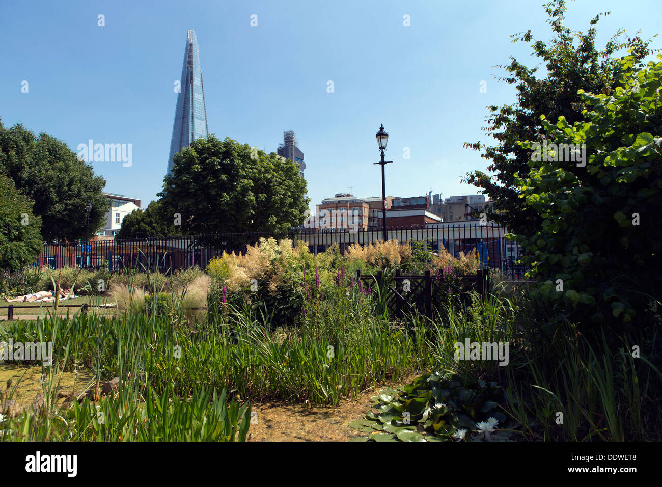 View of The Shard from Red Cross Garden, Southwark, London, UK Stock ...