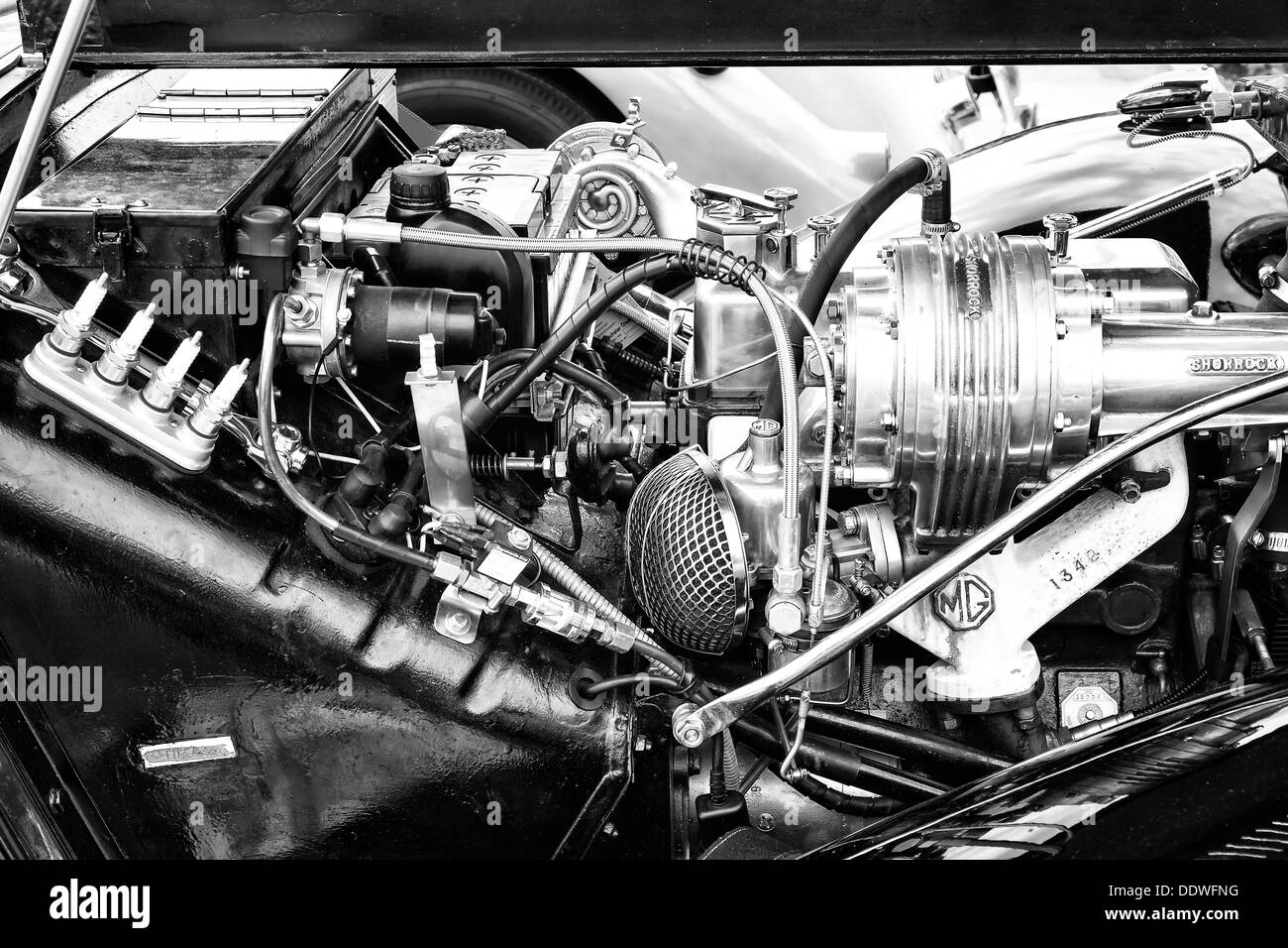 The engine roadster MG TD Midget, 1951, close-up, (black and white ...