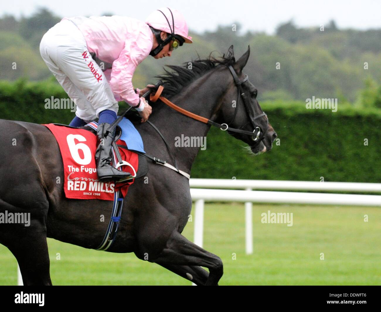 Dublin leopardstown racecourse hi-res stock photography and images - Alamy