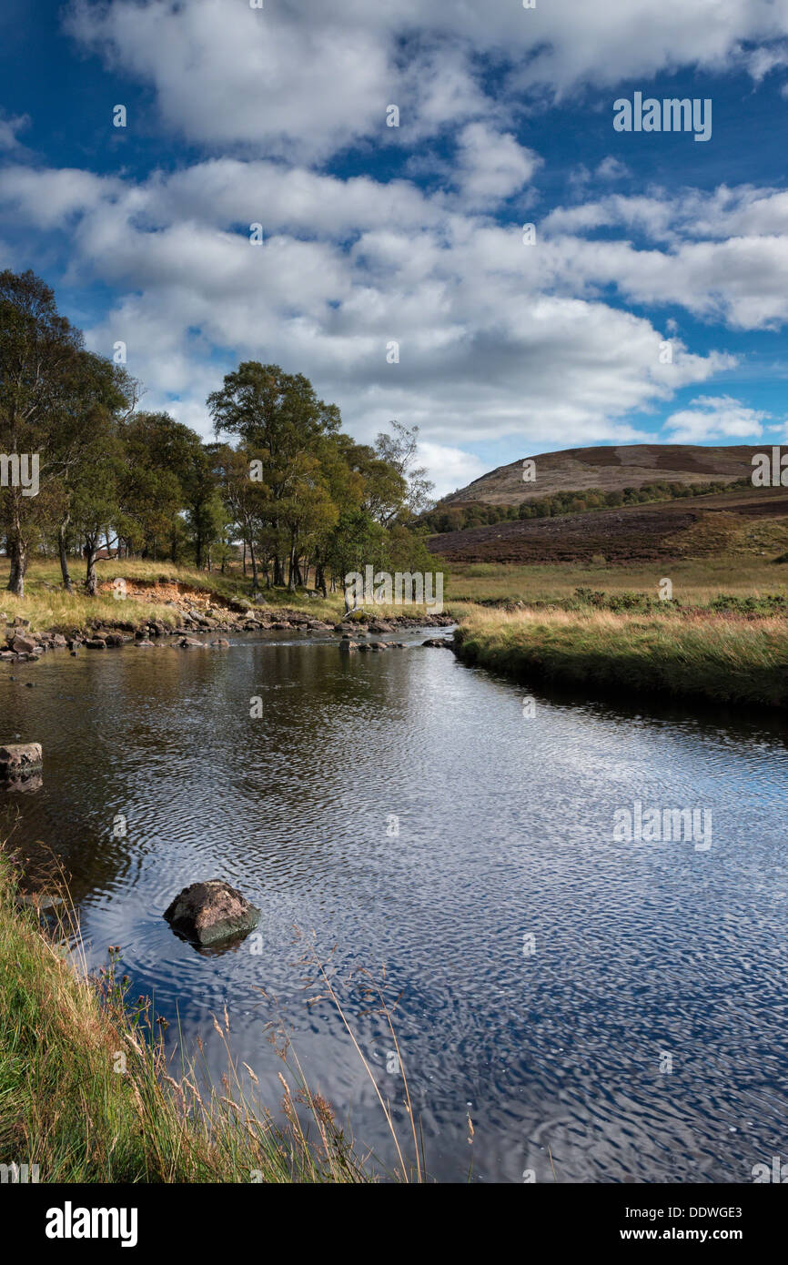 Loch Lee, Angus High Resolution Stock Photography and Images - Alamy