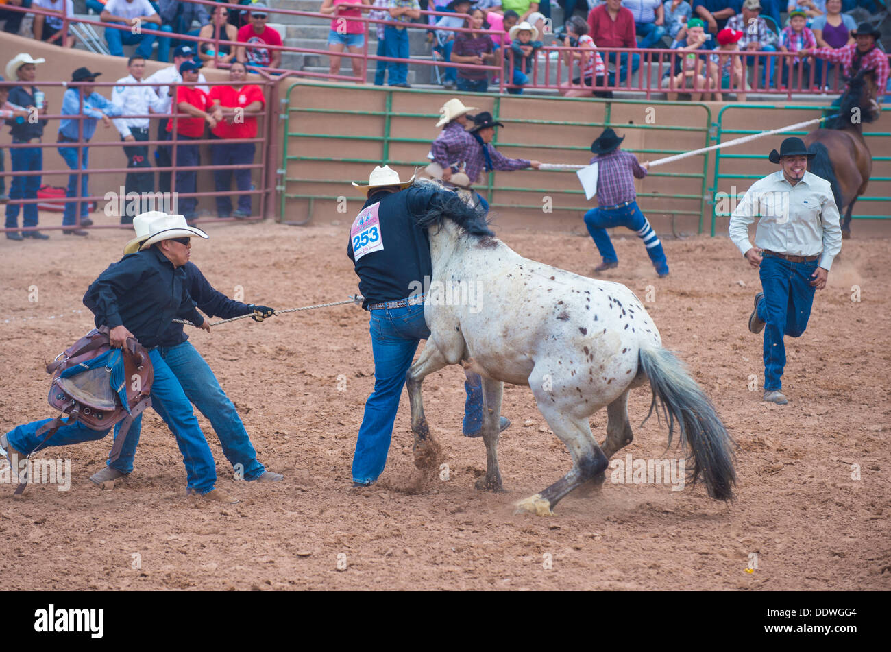 Bronc horse rodeo west western cowboy hi-res stock photography and ...