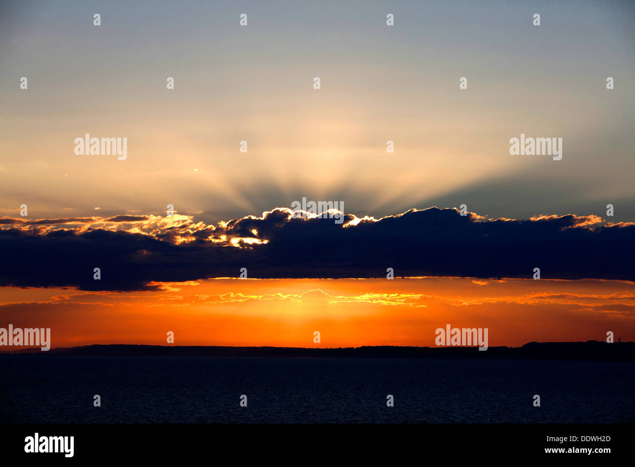 Vivid orange hi-res stock photography and images - Alamy