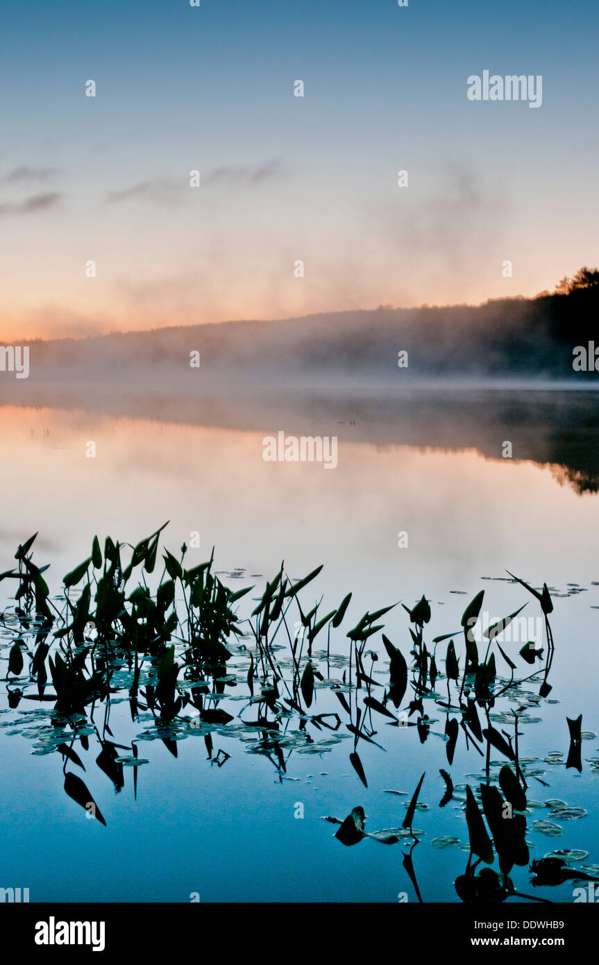 Morning mist and the arrowheads Stock Photo - Alamy