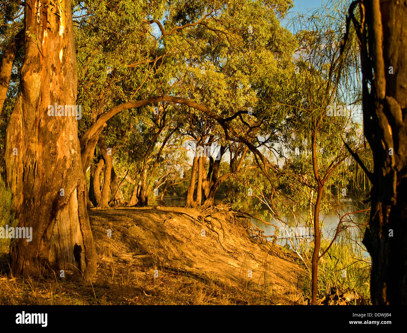 River bank erosion hi-res stock photography and images - Alamy