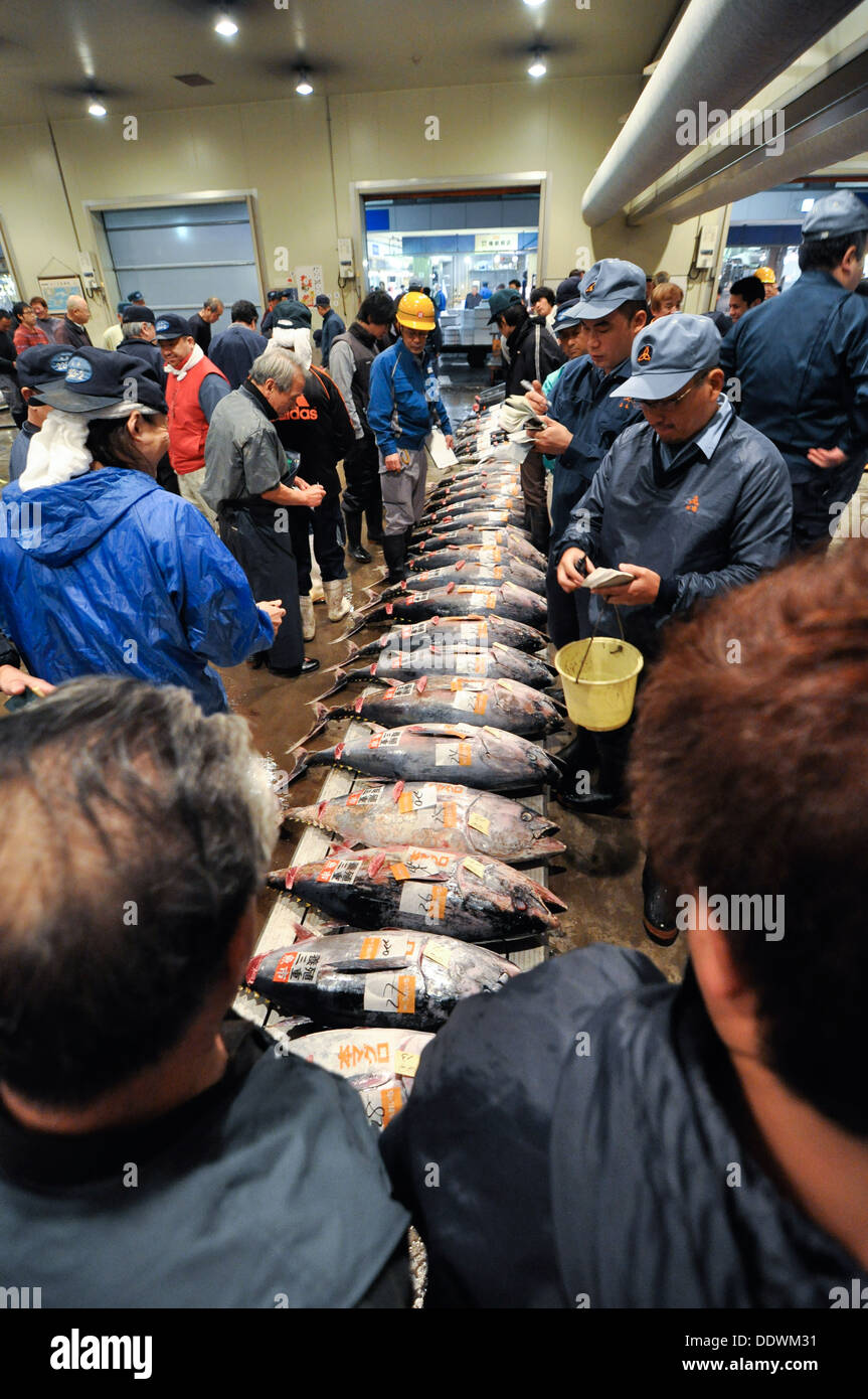 Tuna auction at a fish market in Osaka, Japan Stock Photo - Alamy