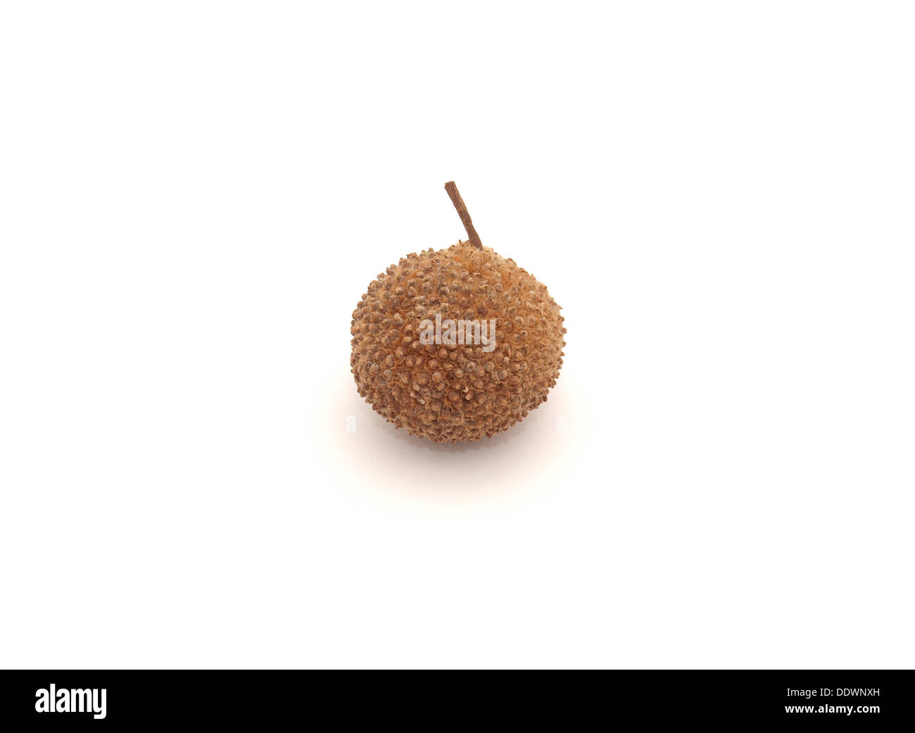 Cone on a white background Stock Photo - Alamy