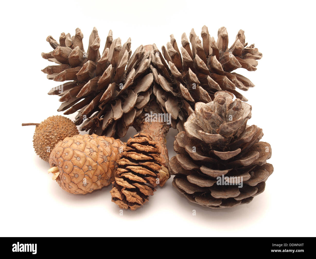 Light cones Cut Out Stock Images & Pictures - Alamy