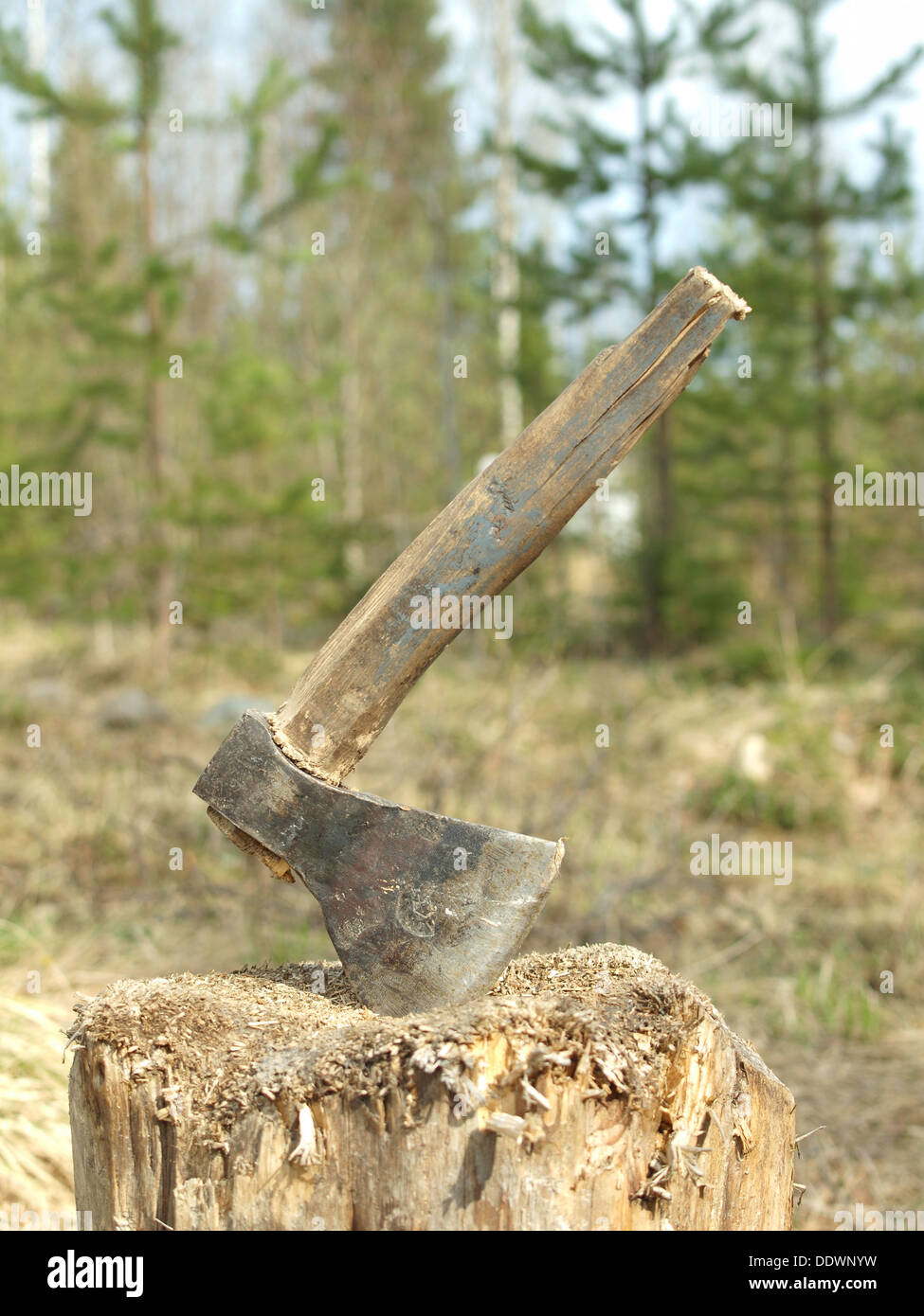 Photo of axe in the stump Stock Photo - Alamy