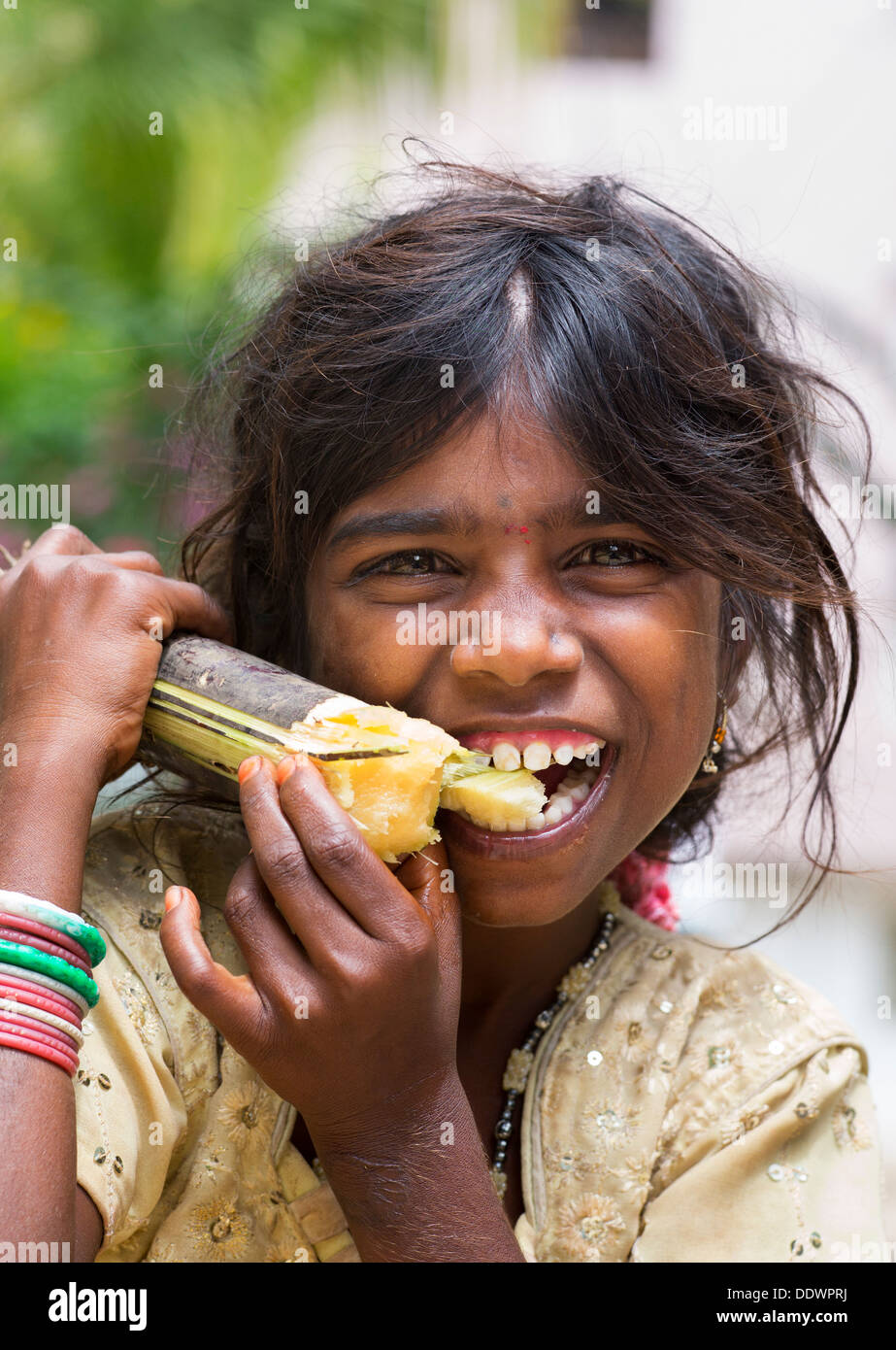 Young poor lower caste Indian street girl biting into sugar cane ...