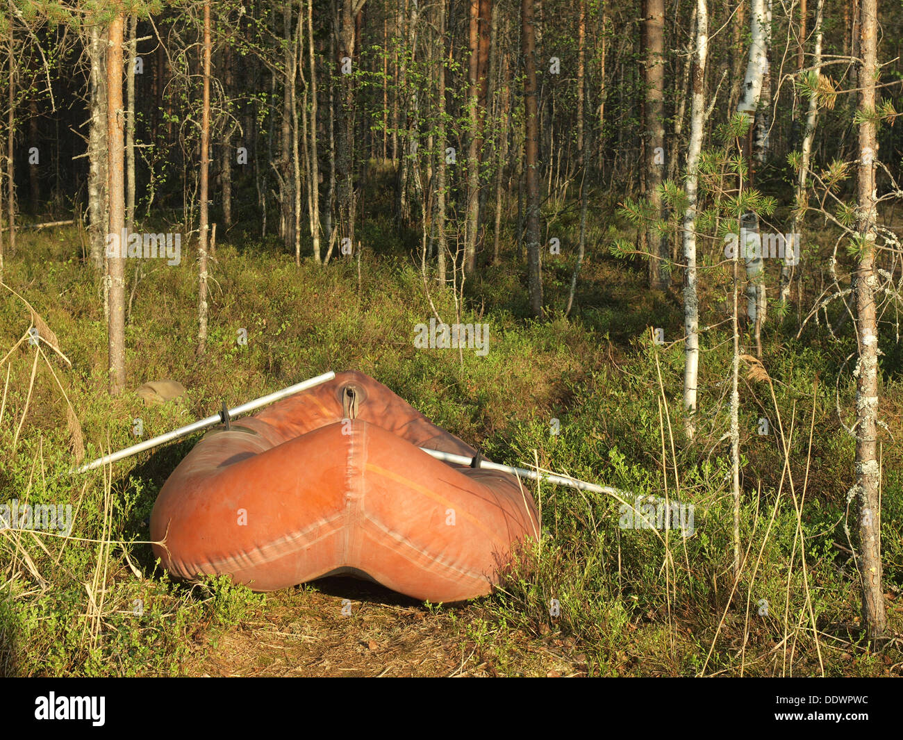 Inflatable rubber boat in a wood Stock Photo - Alamy