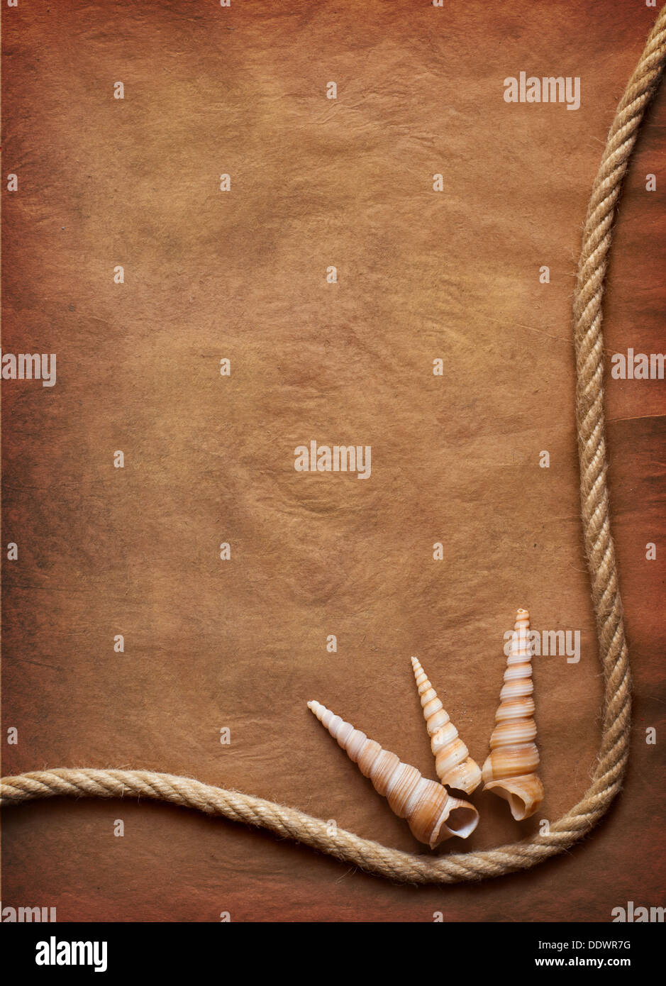 Aged Rope and seashell on the old paper background Stock Photo - Alamy