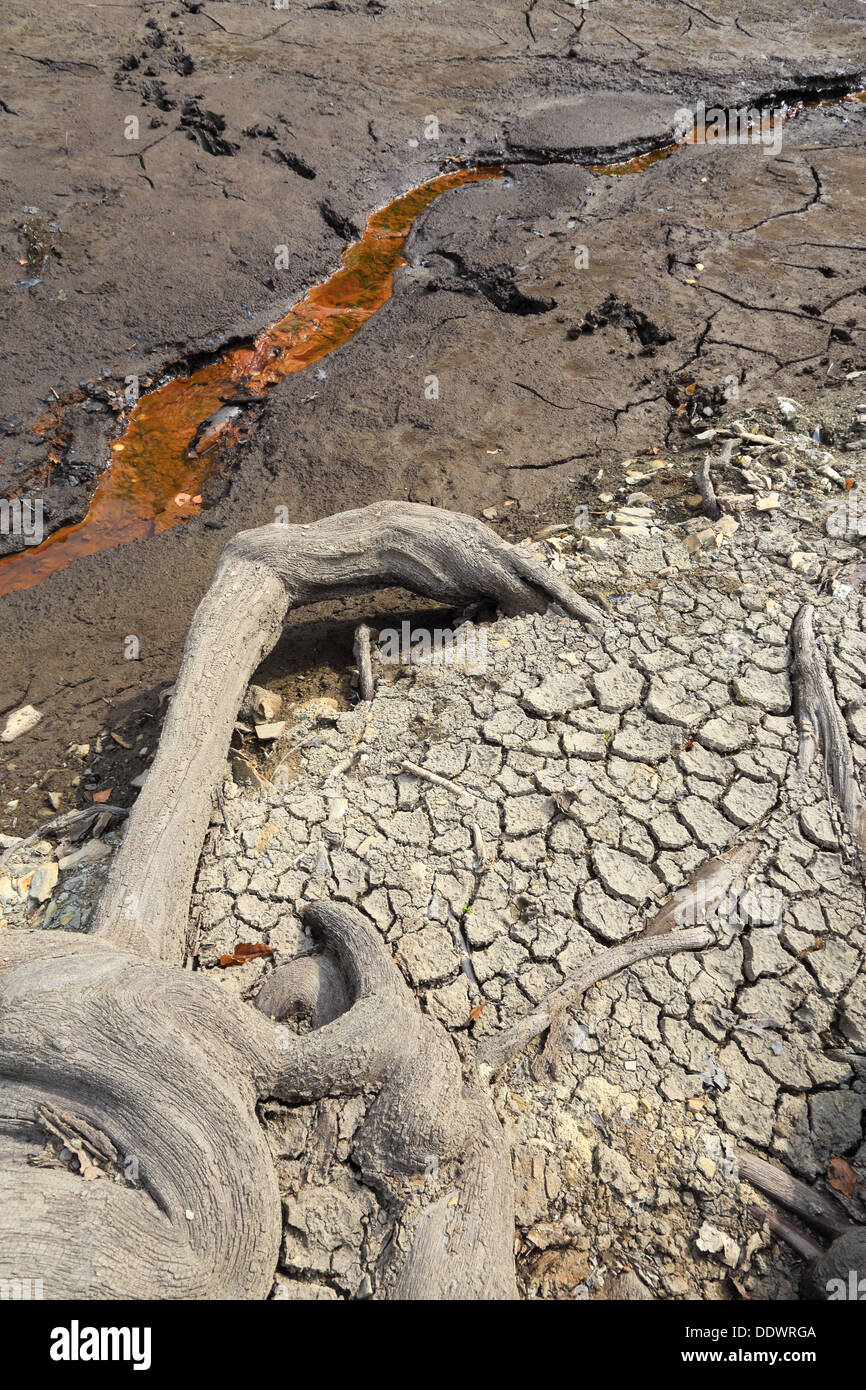 Waterless lake with a cracked ground in one part, and mud with a small ...