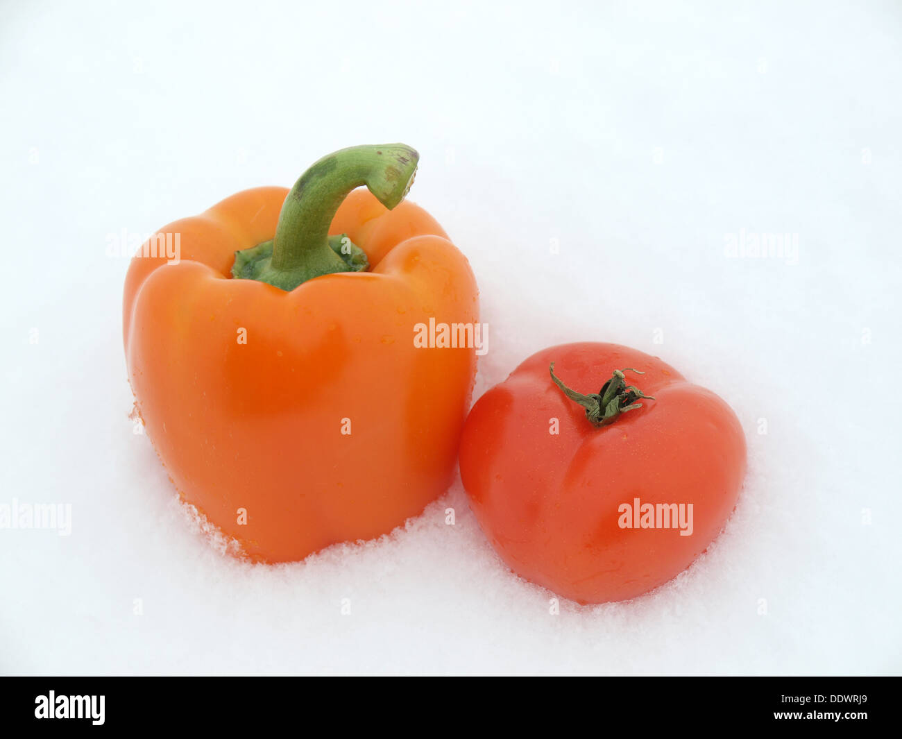 Pepper and tomato on a snow Stock Photo - Alamy