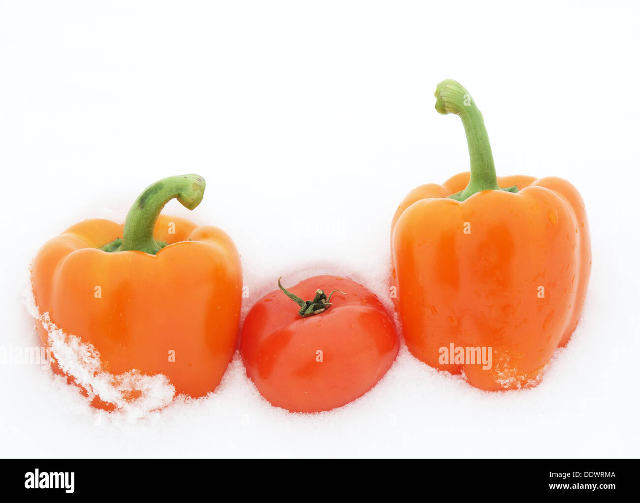 Peppers and tomato on snow Stock Photo - Alamy