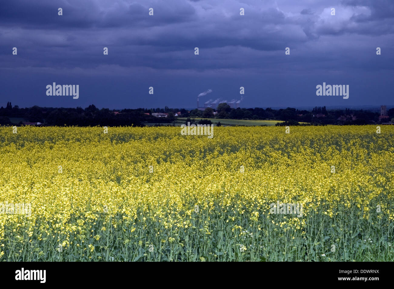 cloud over the crops Stock Photo - Alamy