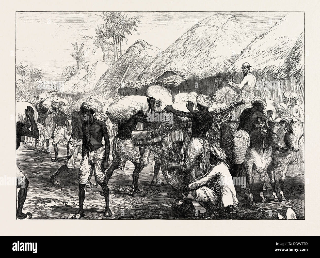 THE FAMINE IN BENGAL: LOADING GRAIN CARTS NEAR CALCUTTA Stock Photo - Alamy