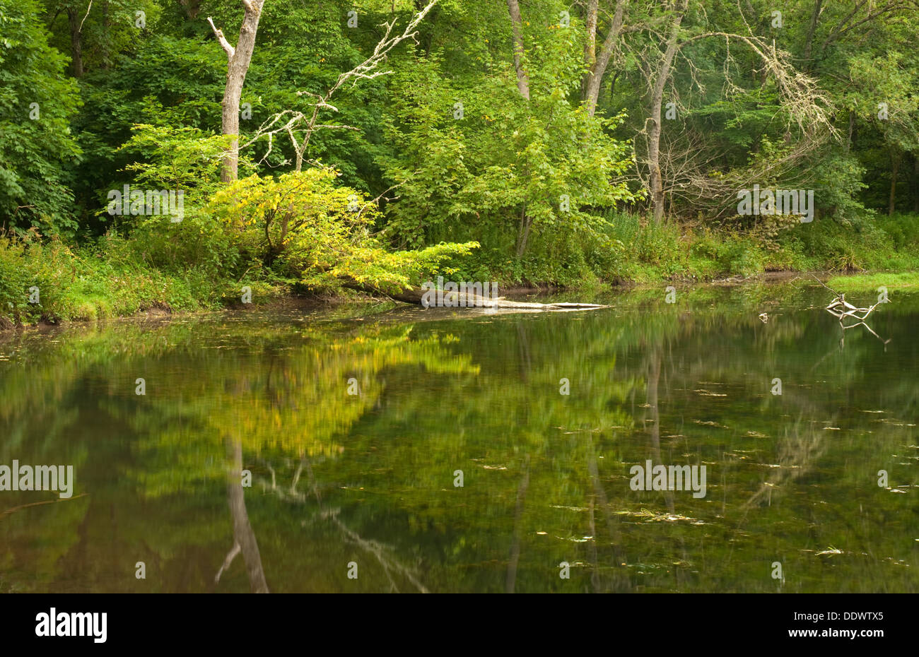 Reflections on a Mill Pond Stock Photo - Alamy