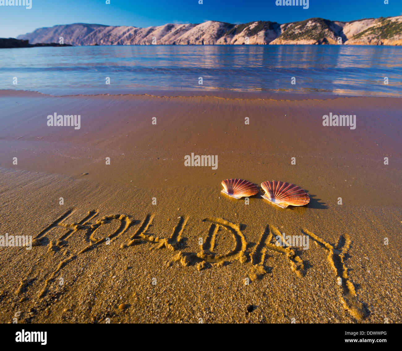 Real shell hi-res stock photography and images - Alamy