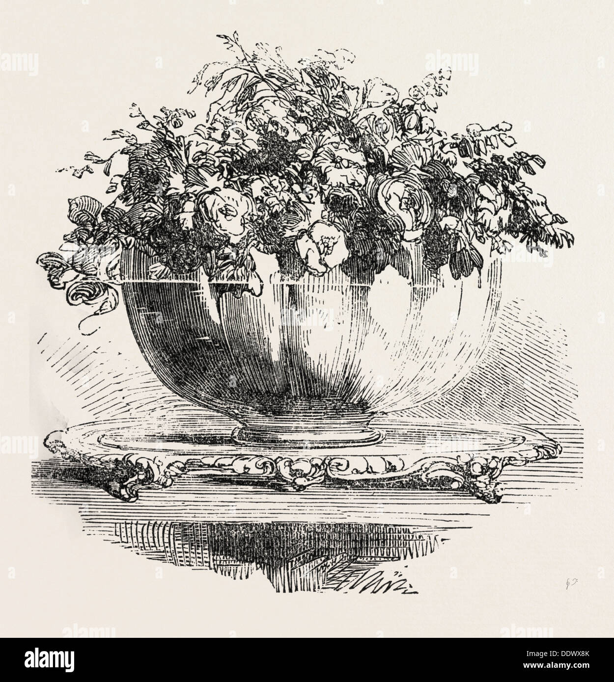 Roney High Resolution Stock Photography and Images - Alamy