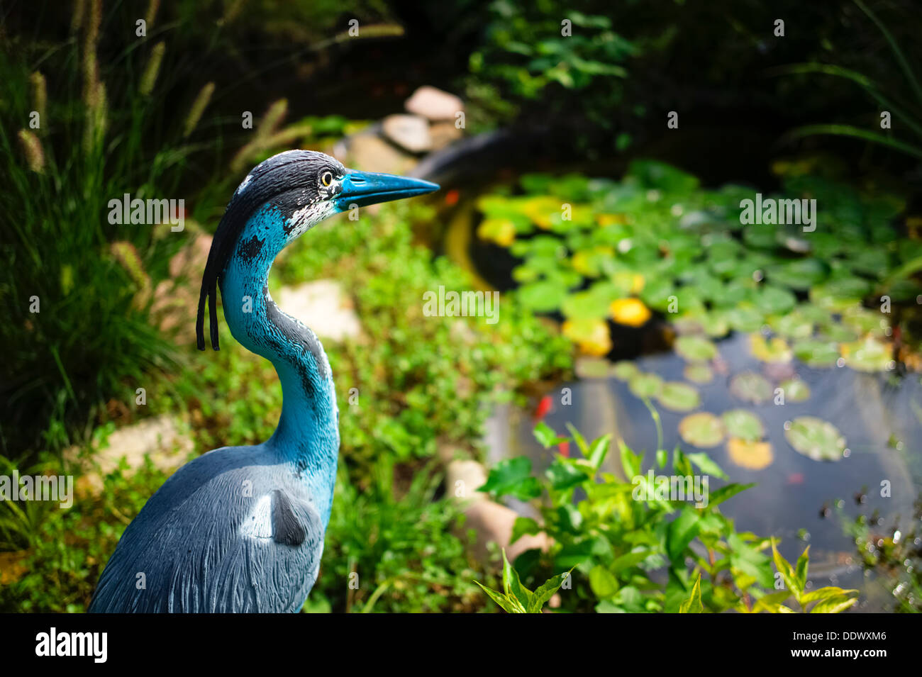Plastic pond garden hi-res stock photography and images - Alamy
