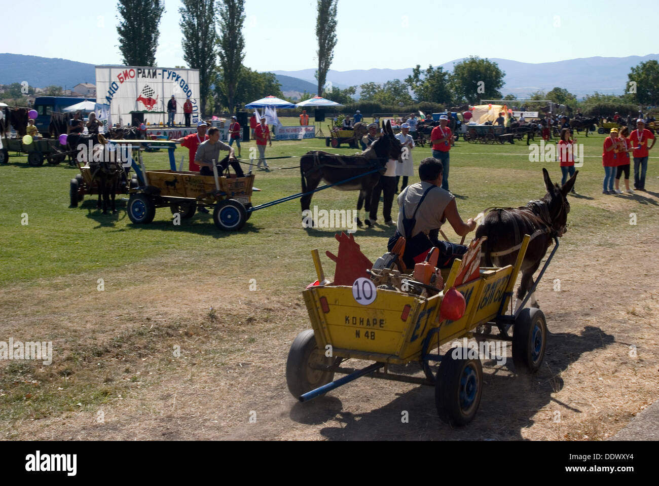 Donkey cart race hi-res stock photography and images - Alamy