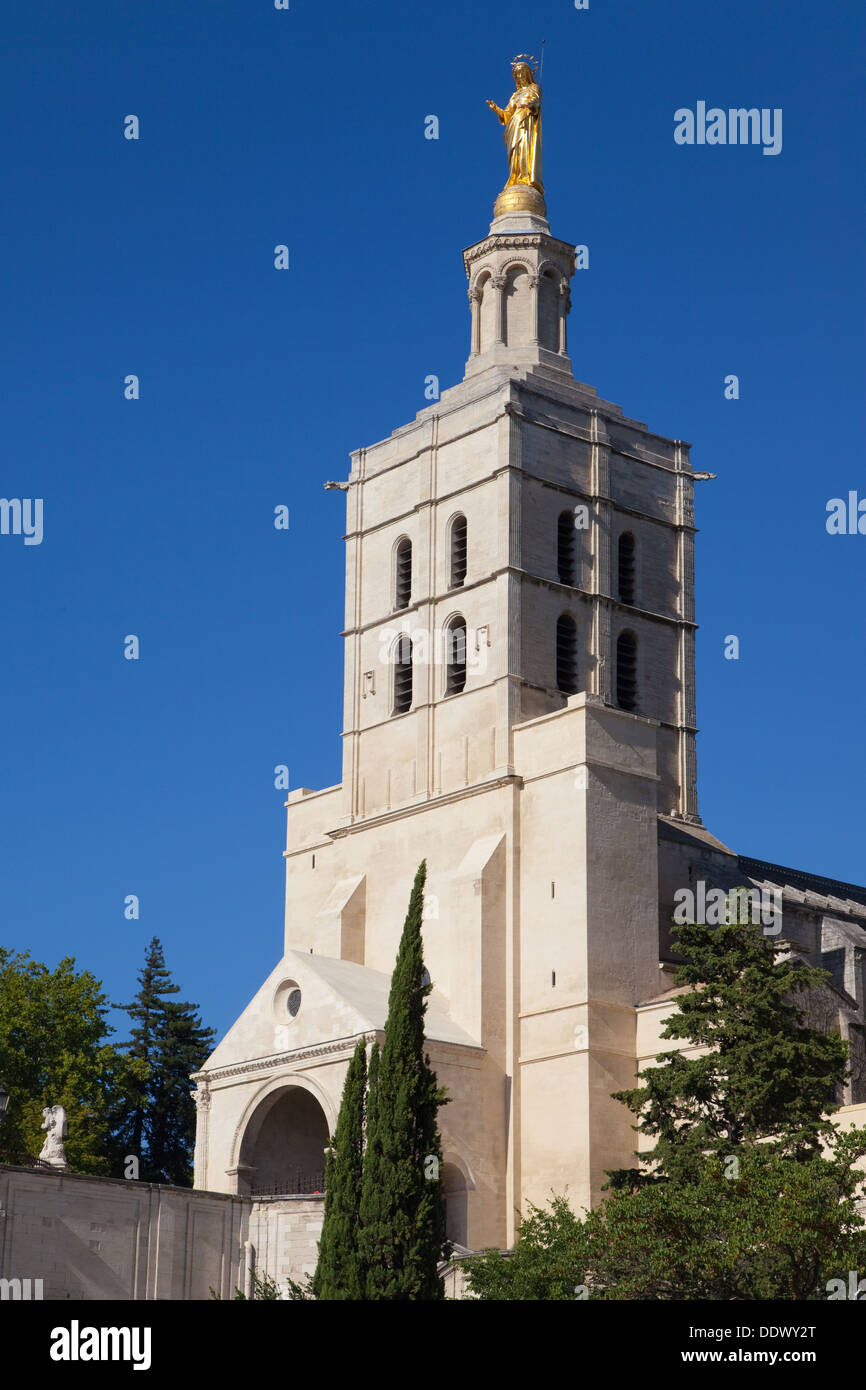 Notre dame des doms cathedral hi-res stock photography and images - Alamy