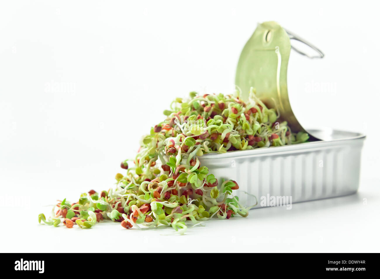 Seed conservation Cut Out Stock Images & Pictures - Alamy