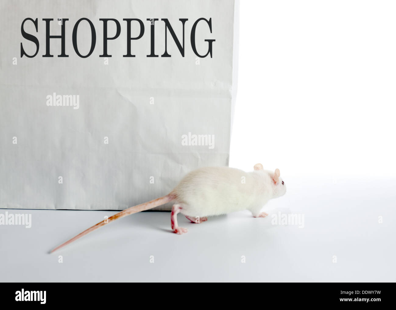 Rat pack hi-res stock photography and images - Alamy