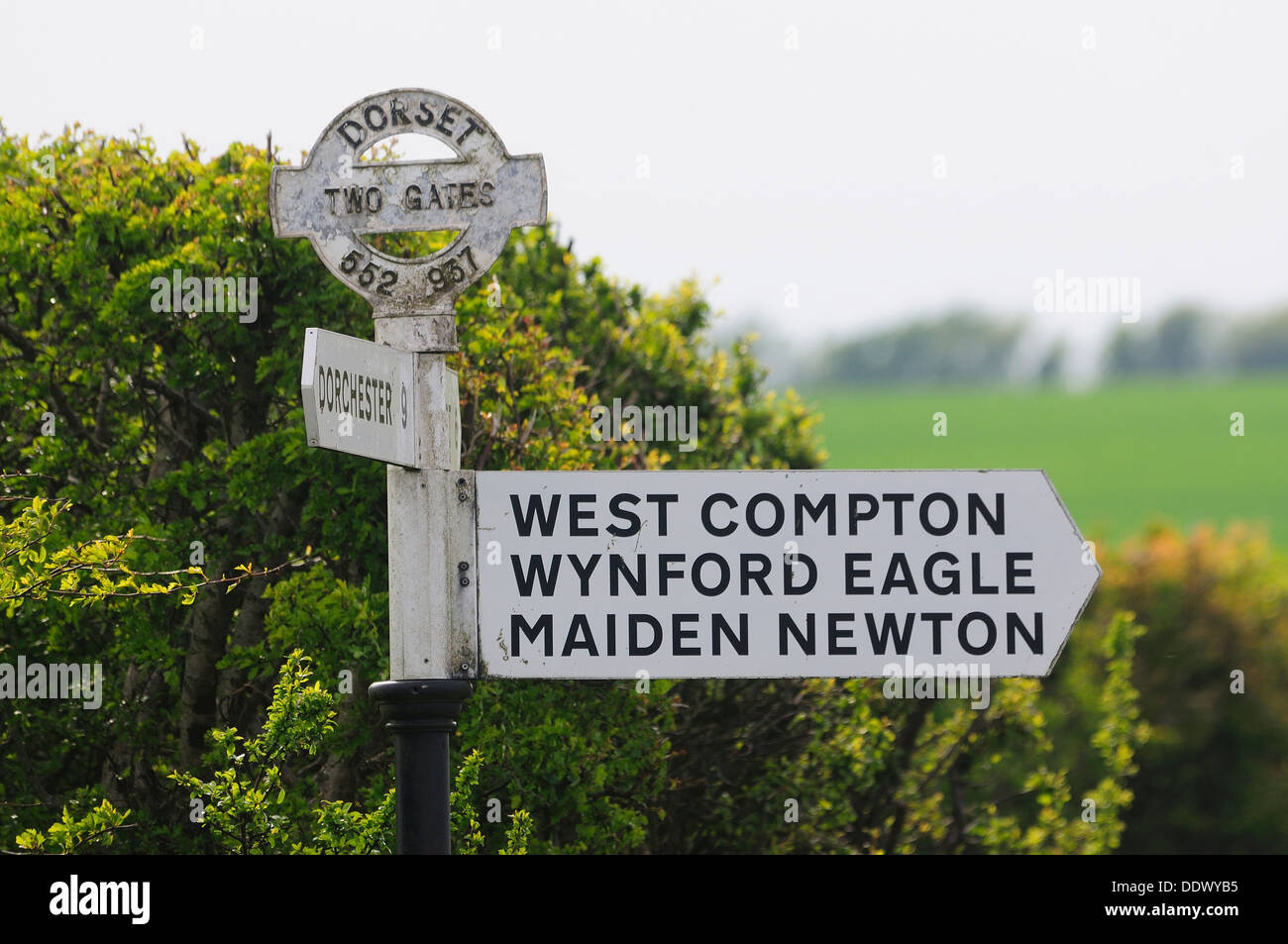 A traditional Dorset finger post UK Stock Photo - Alamy