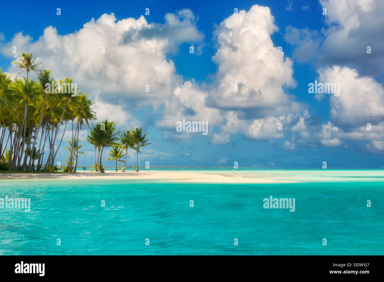 Small island in ocean palm hi-res stock photography and images - Alamy