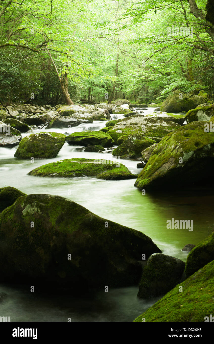 Pristine natural fresh spring hi-res stock photography and images - Alamy