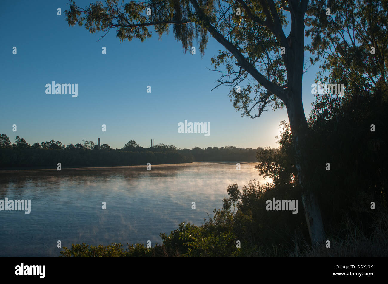Early morning mist rising off of the Brisbane River, Brisbane ...