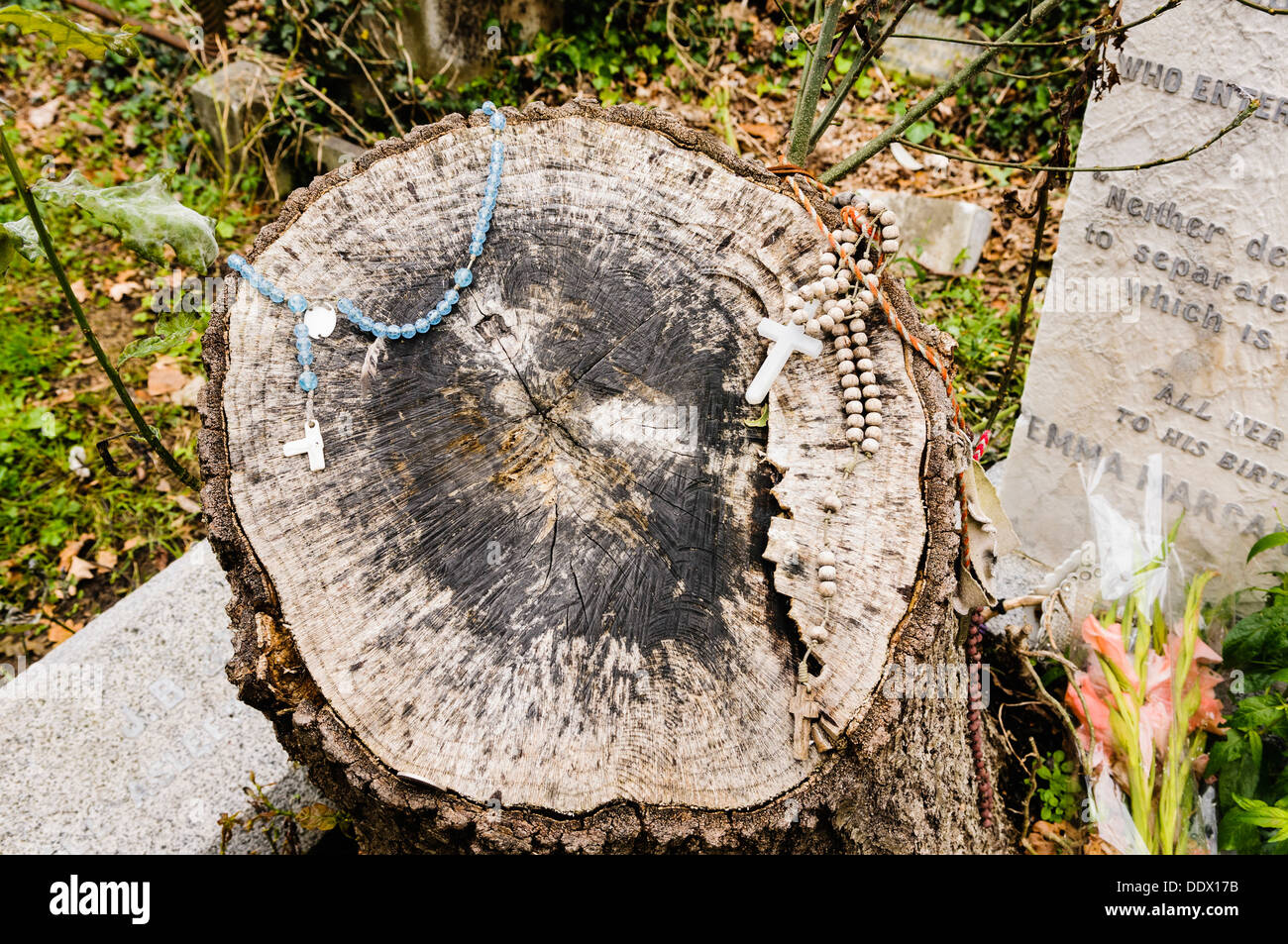 One year after the face of Jesus appeared in a tree stump at a grave in ...