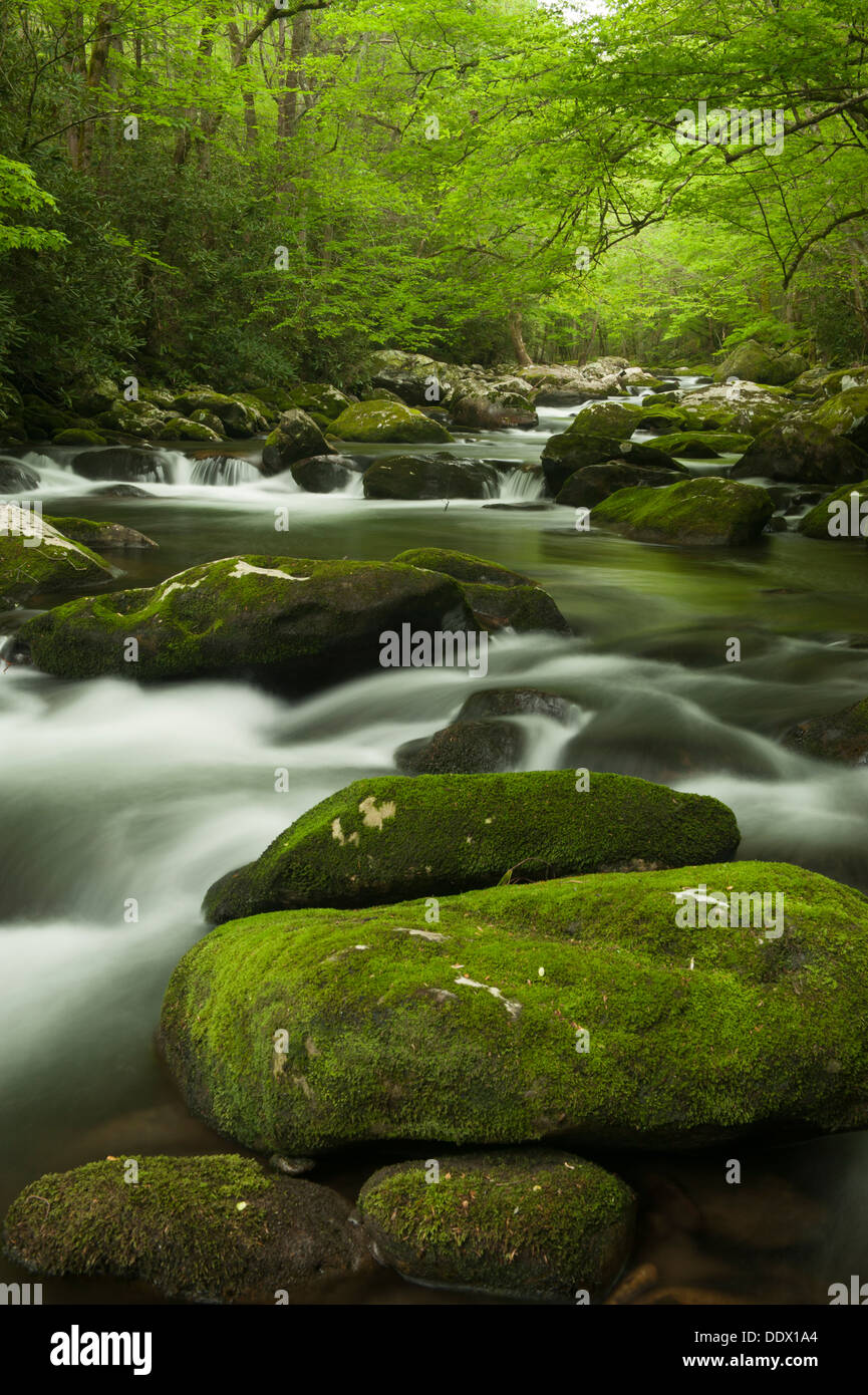 Mountain stream fast clear blue hi-res stock photography and images - Alamy