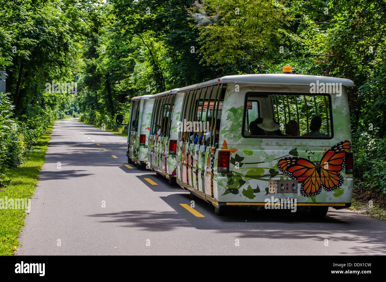 Point Pelee Tour Bus Stock Photo - Alamy
