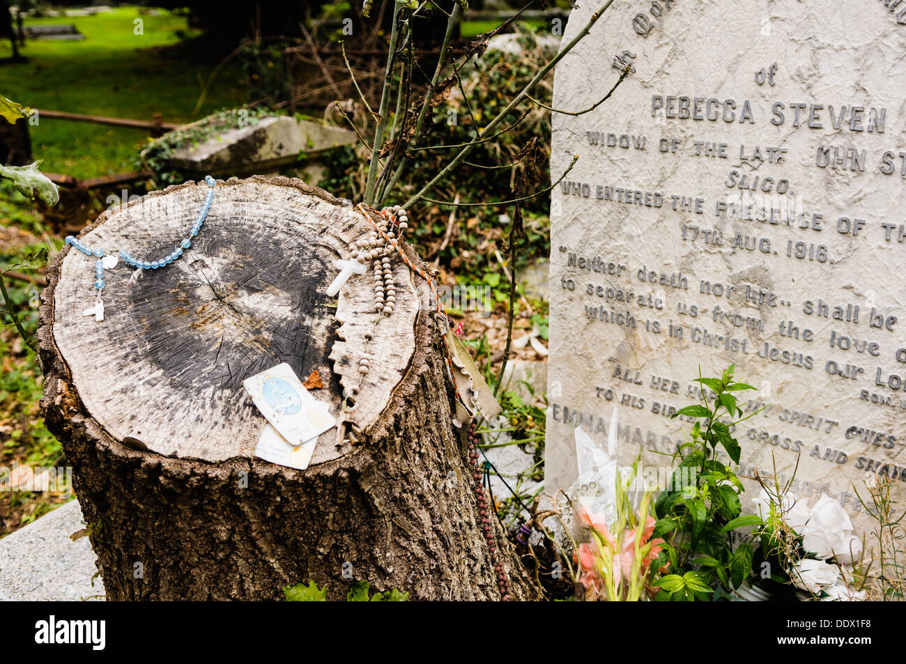 One year after the face of Jesus appeared in a tree stump at a grave in ...
