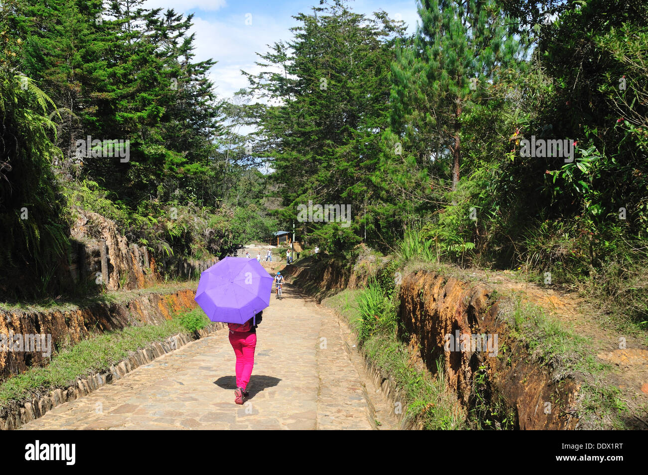 Parque Arvi - Santa Elena .Department of Antioquia. COLOMBIA Stock Photo - Alamy