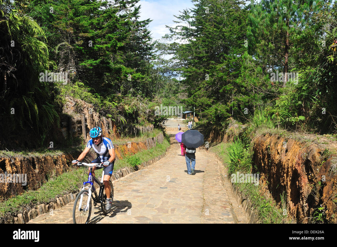 Parque Arvi - Santa Elena .Department of Antioquia. COLOMBIA Stock Photo - Alamy