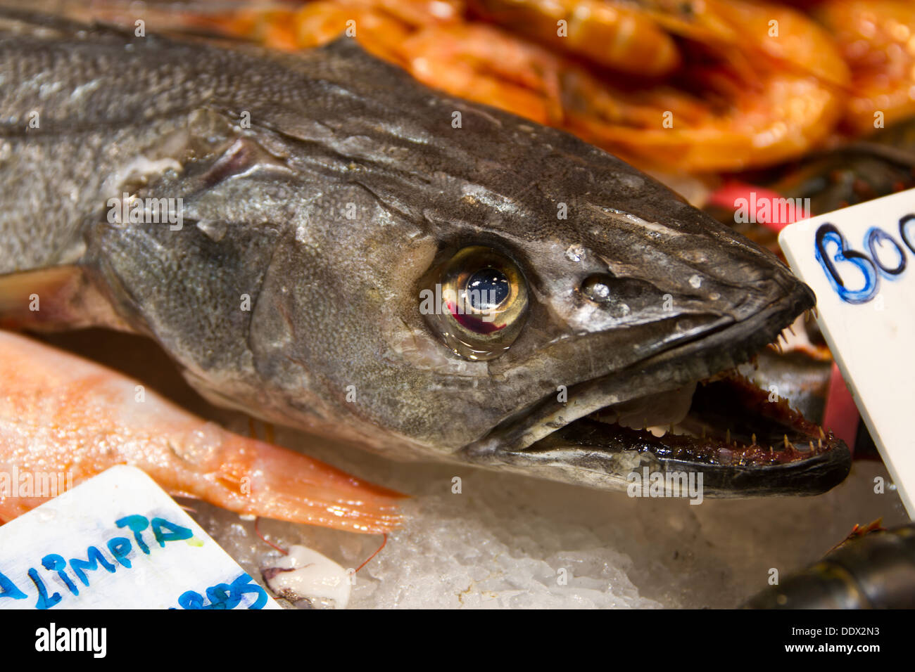 Fresh Fish at the market Stock Photo - Alamy