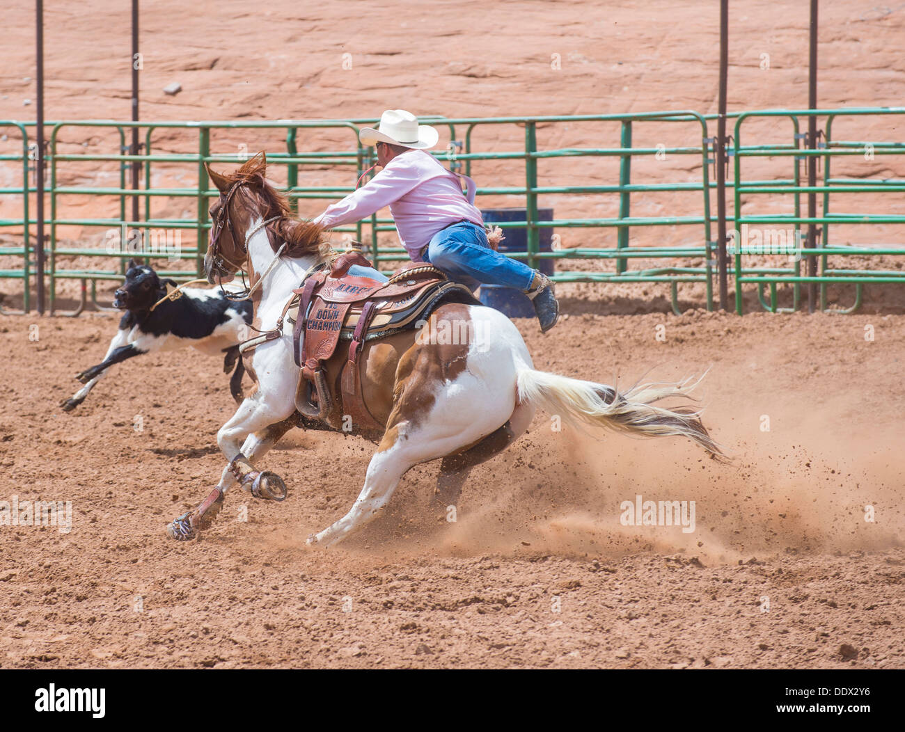 Cowboy Participates in in a Calf roping Competition at the 92nd annual ...