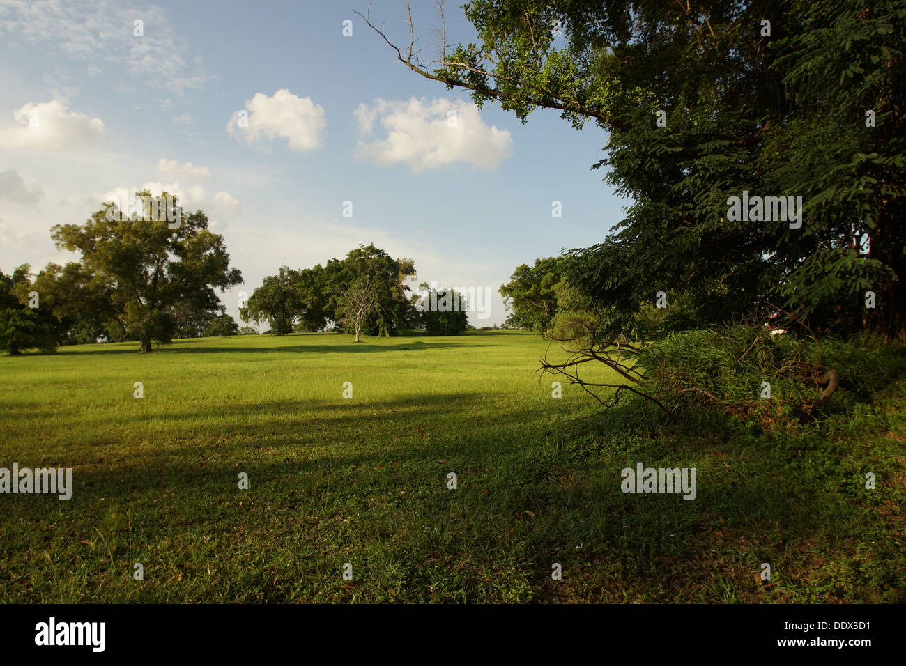 Open land park hi-res stock photography and images - Alamy
