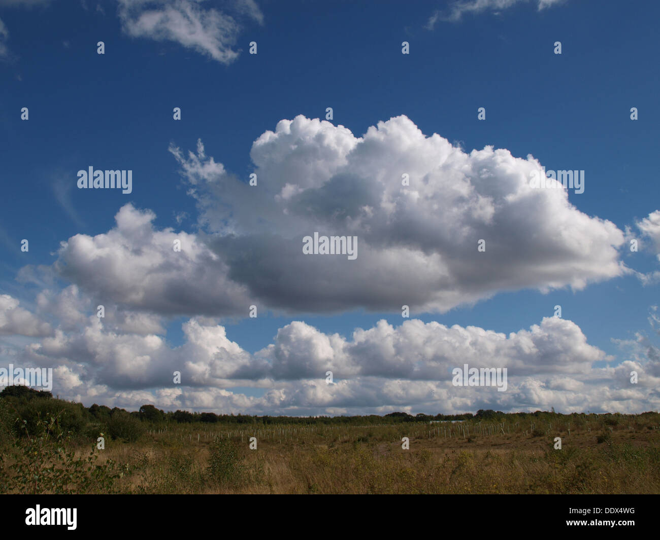 Hicks lodge national forest hi-res stock photography and images - Alamy